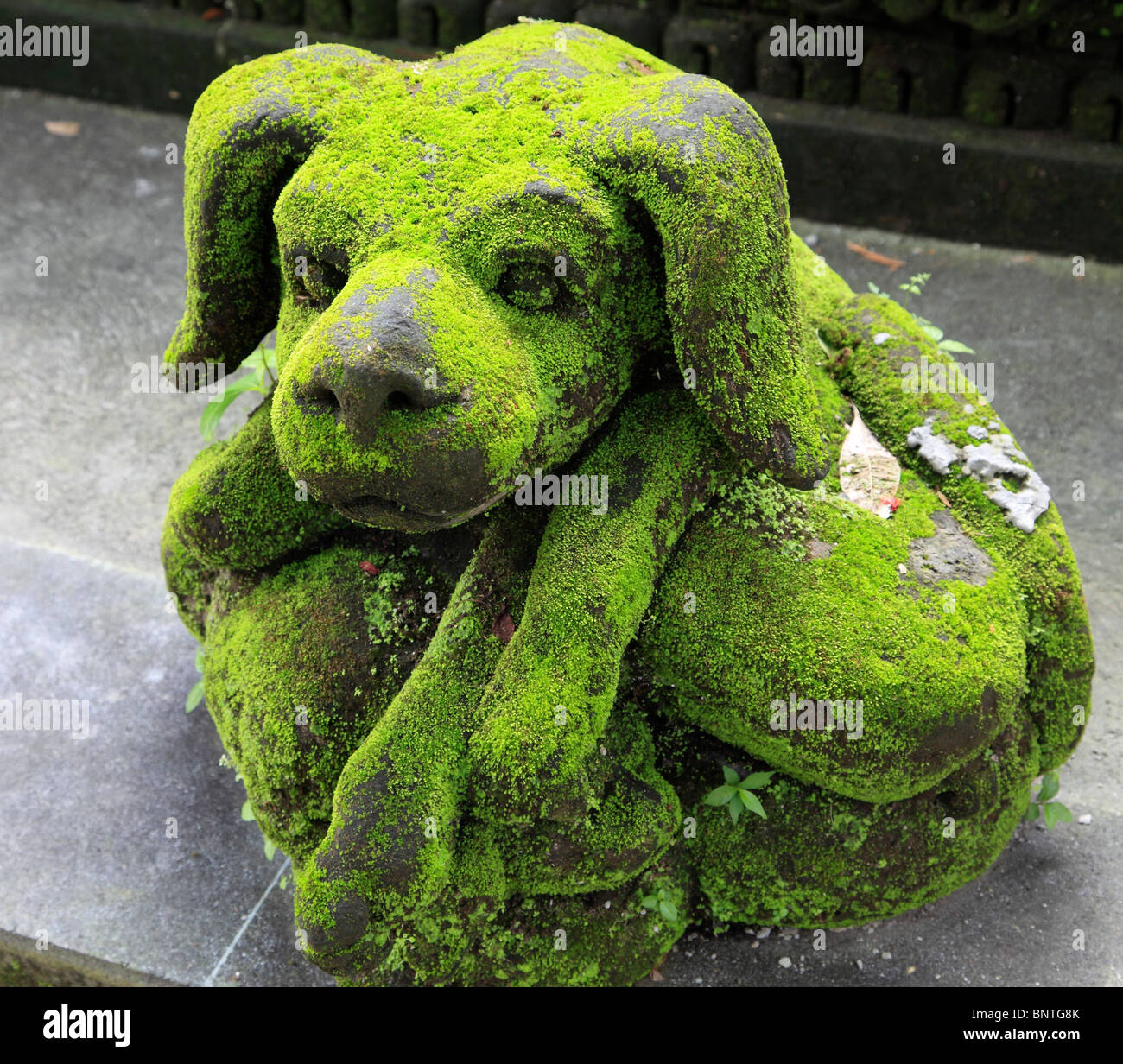Moss covered statue hi-res stock photography and images - Alamy