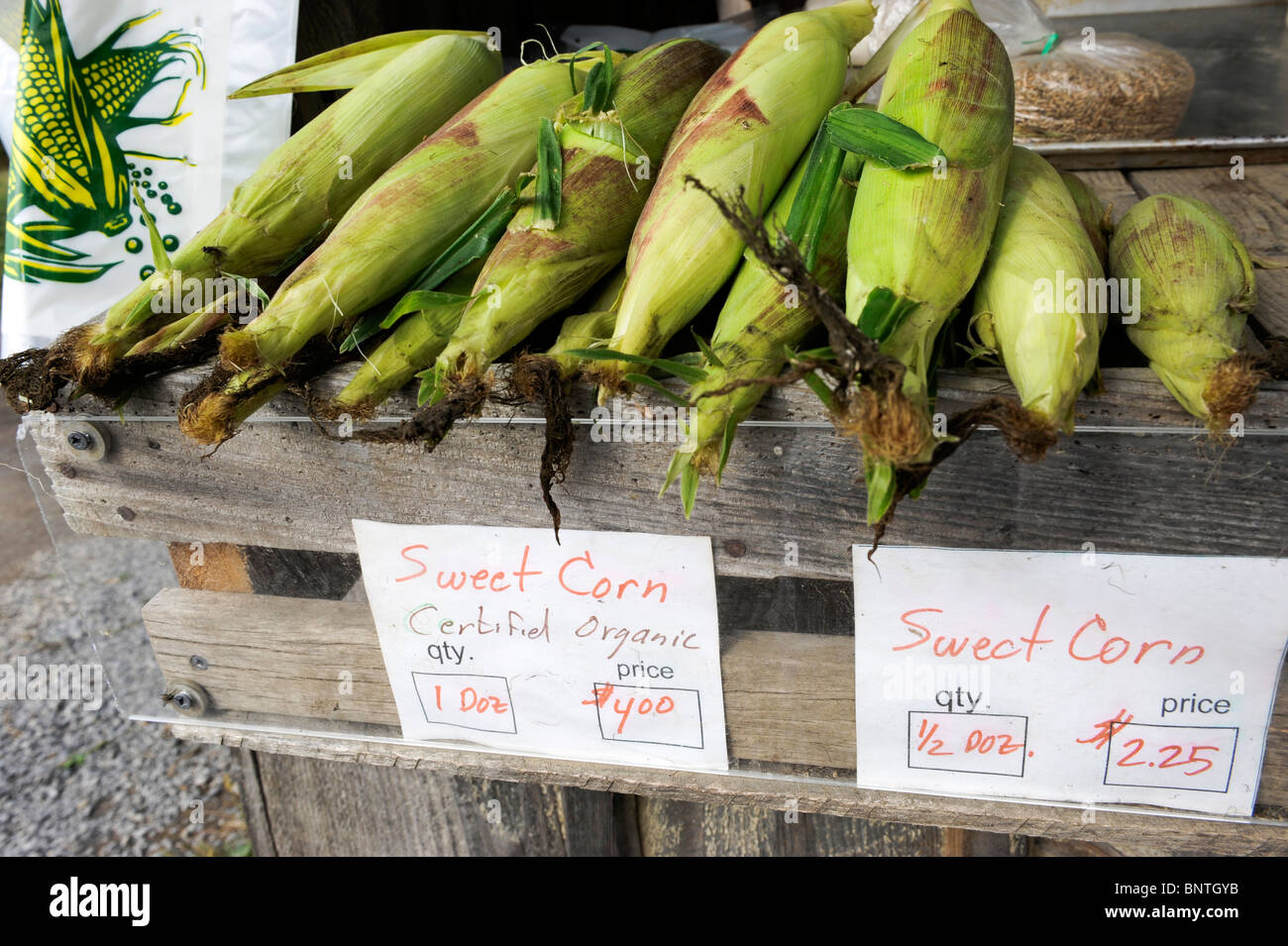 Certified Organic Sweet Corn Stock Photo - Alamy