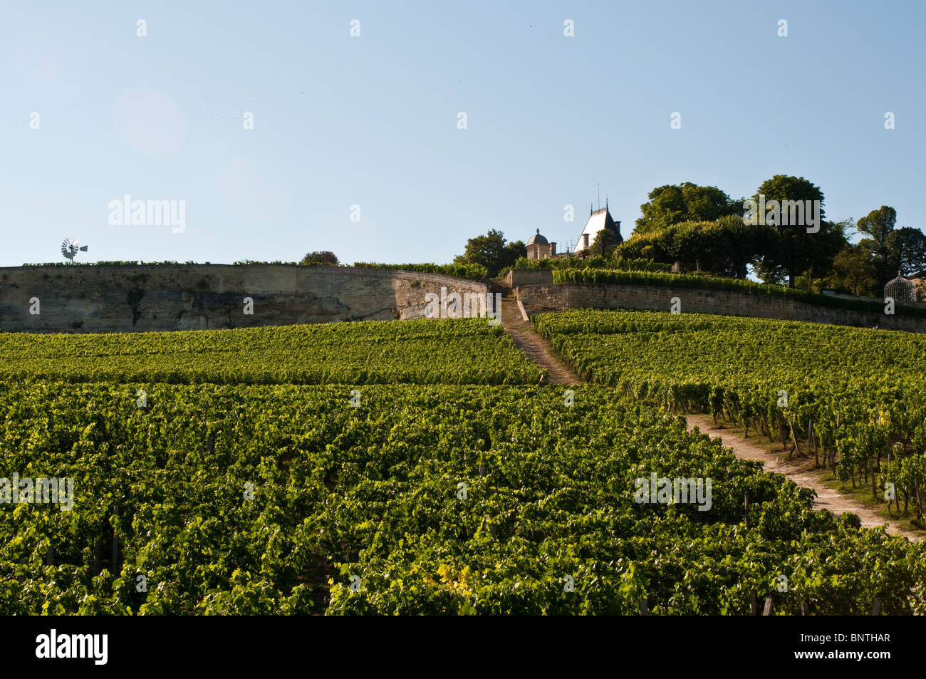 Bordeaux vineyard hi-res stock photography and images - Alamy