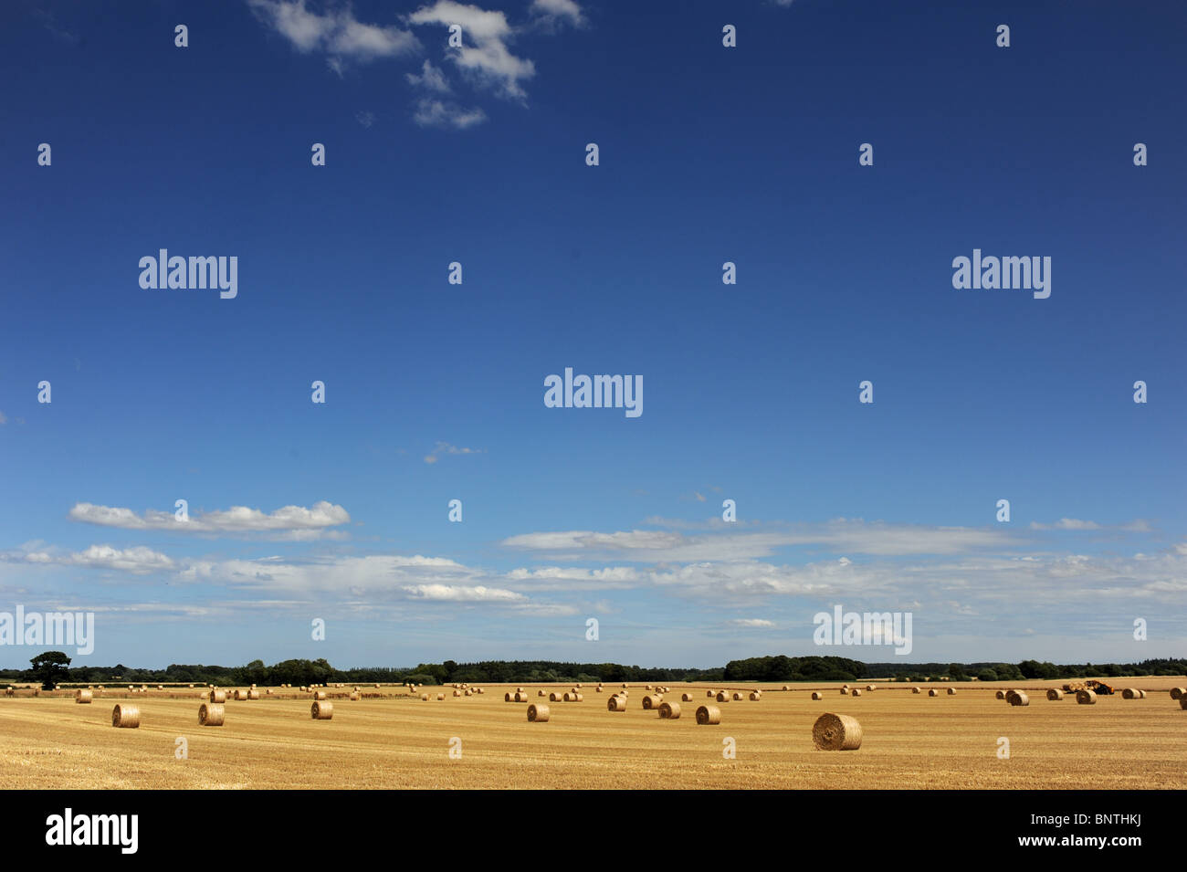 Farming agriculture norfolk hi-res stock photography and images - Alamy