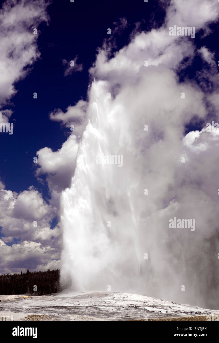 Old faithful yellowstone geyser hi-res stock photography and images - Alamy
