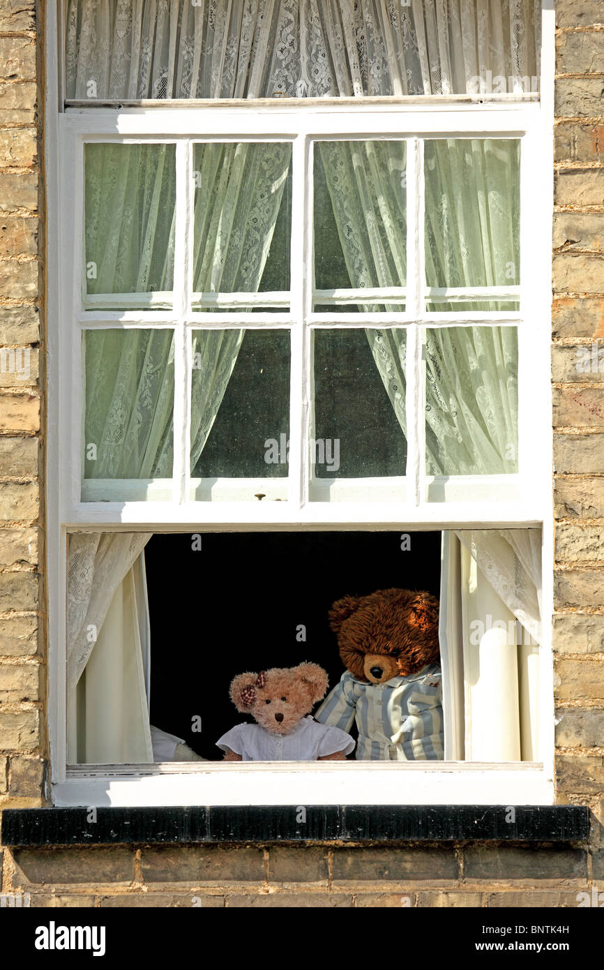 Teddy bears in window Stock Photo - Alamy