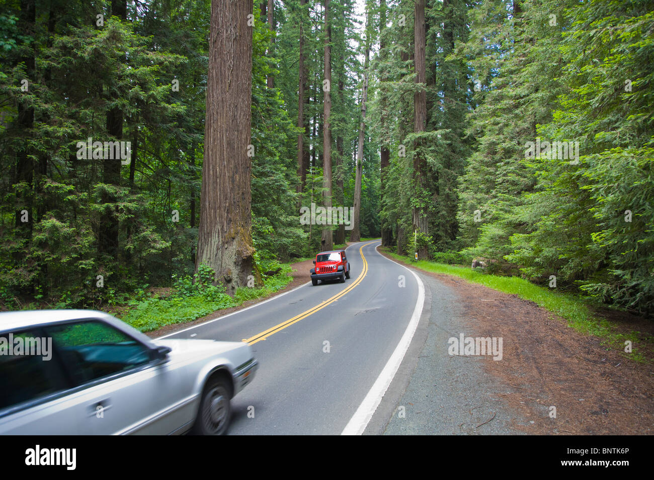 Giant redwood road hi-res stock photography and images - Alamy