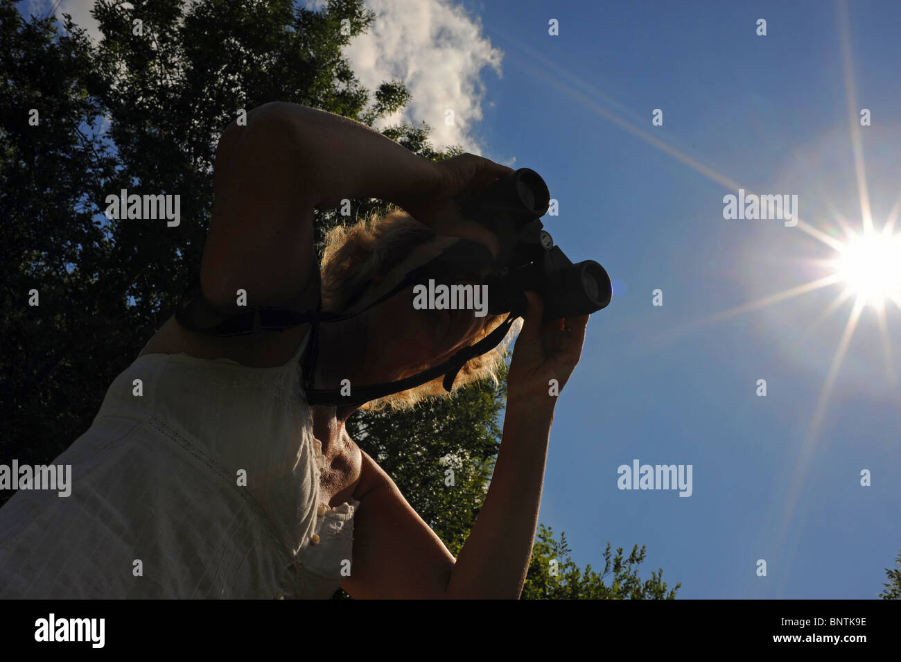 Female middle aged woman enjoying birdwatching with binoculars at woods ...
