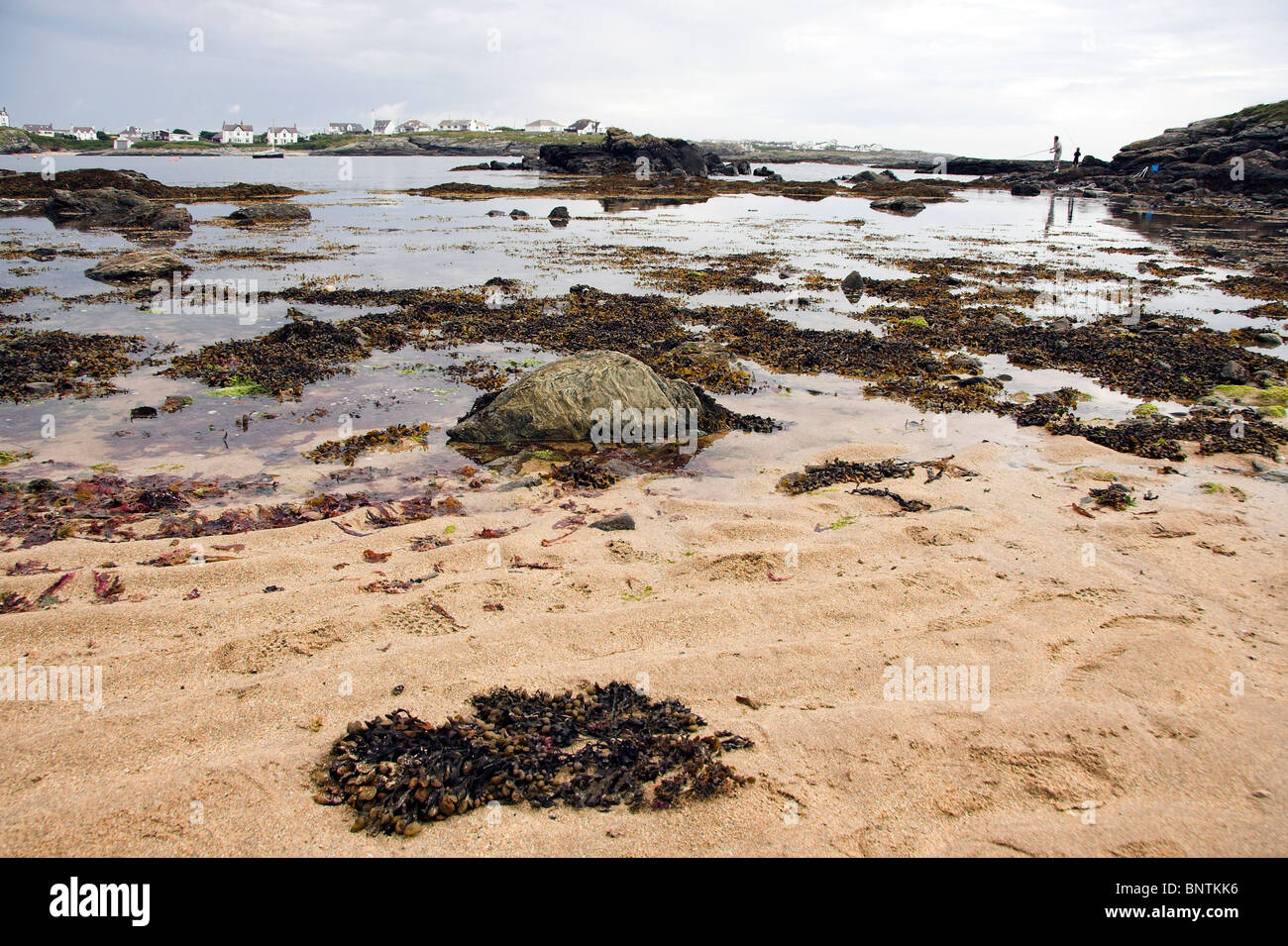 Trearddur Bay Village North Wales High Resolution Stock Photography and ...