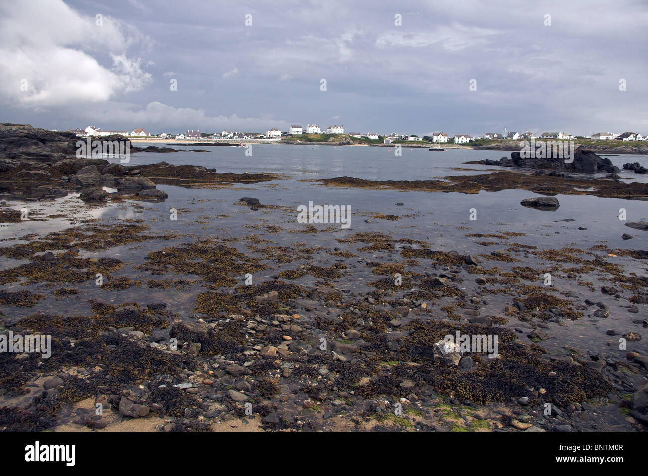 Trearddur Bay, Anglesey, North Wales, UK Stock Photo - Alamy