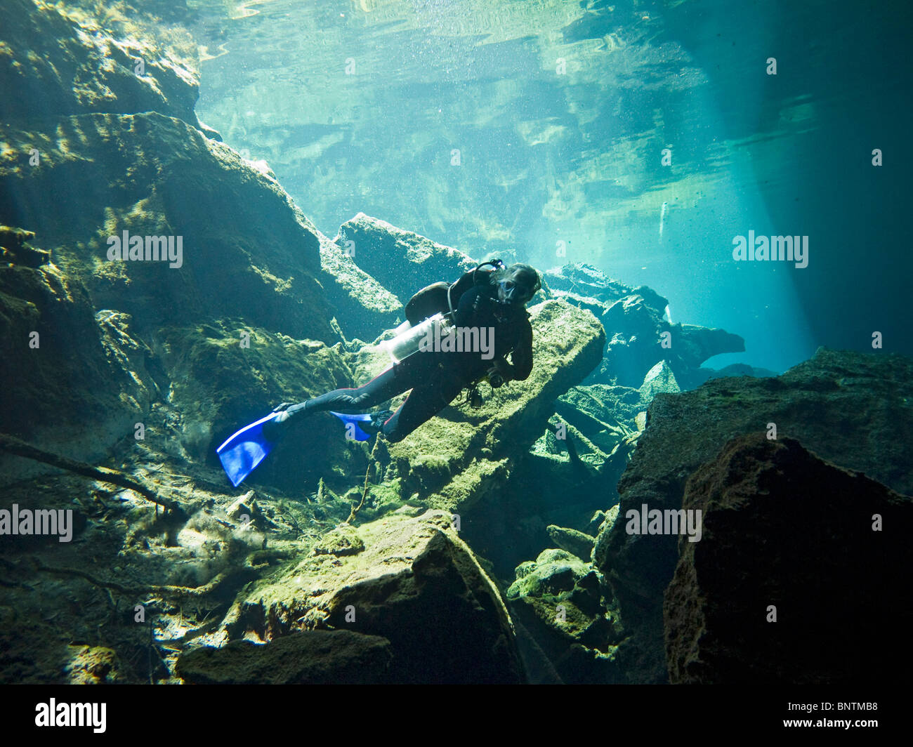 Man scuba diving into Chac Mool, one of the cave systems on the Yucatan ...