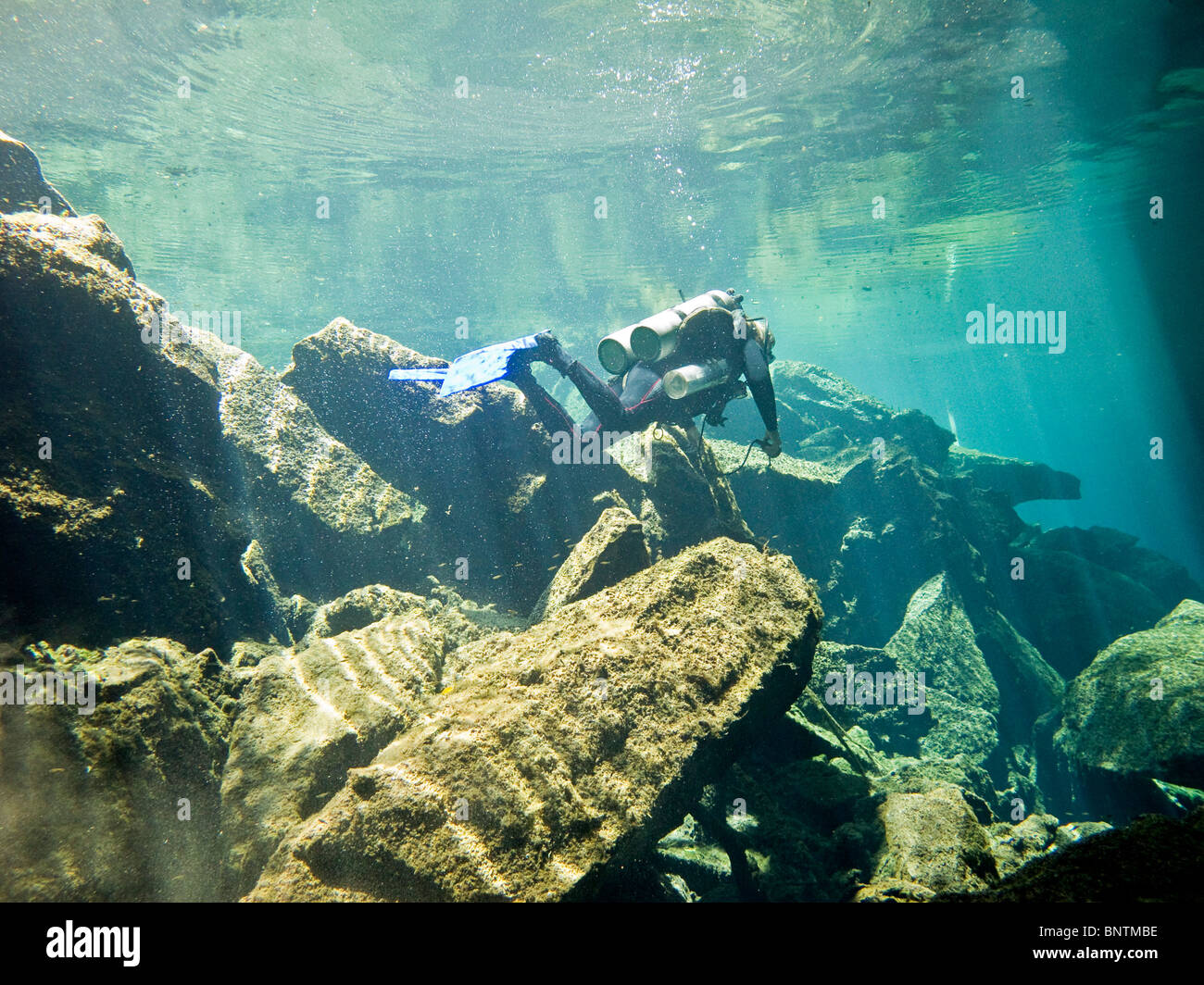 Man scuba diving into Chac Mool, one of the cave systems on the Yucatan ...