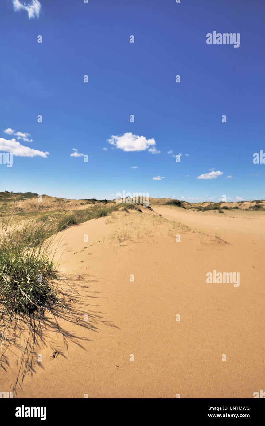 Photo of the sand dunes in Douglas Provincial Park Saskatchewan Canada ...