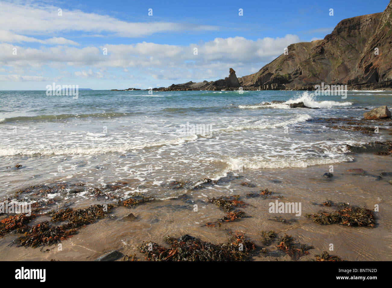 Hartland quay beach hi-res stock photography and images - Alamy