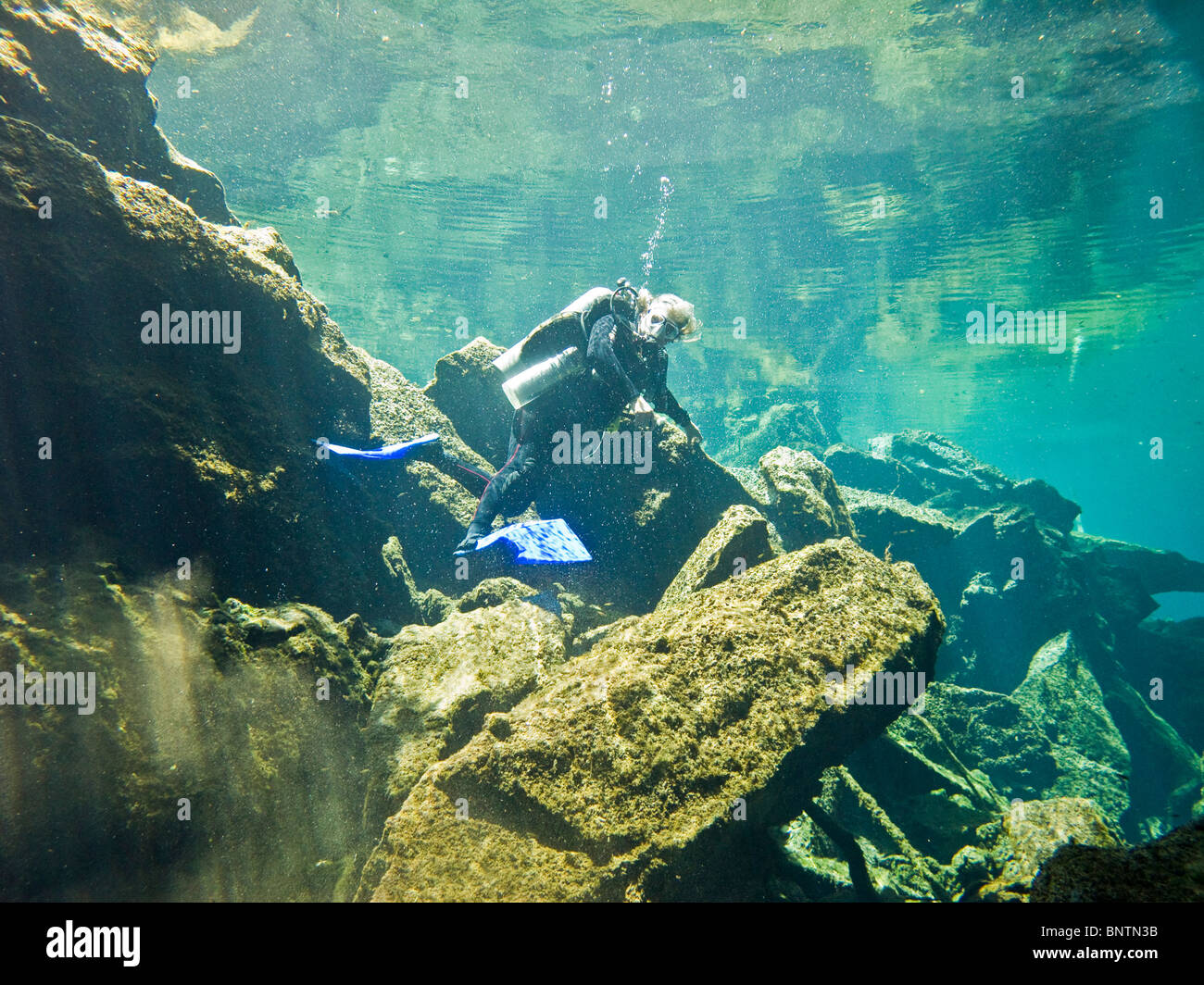 Man scuba diving into Chac Mool, one of the cave systems on the Yucatan ...