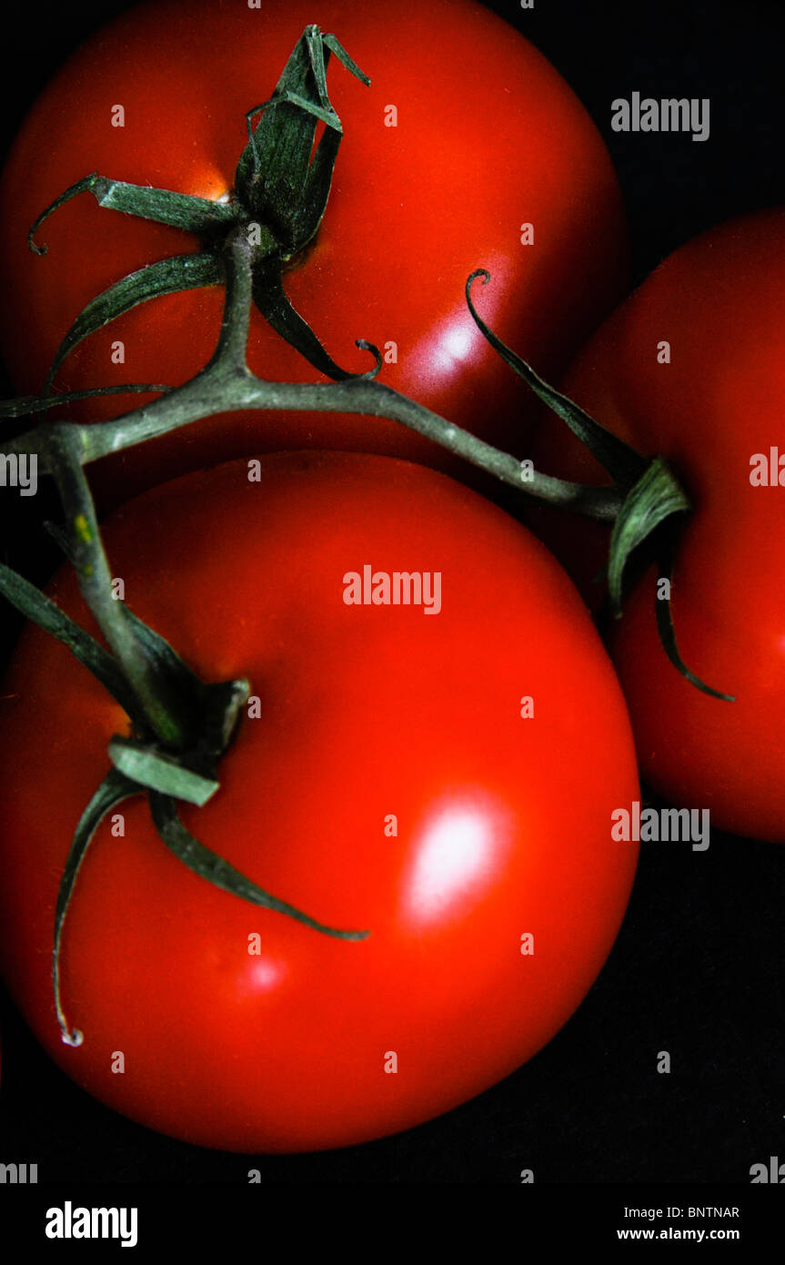 Vine Ripened Tomatoes Stock Photo - Alamy