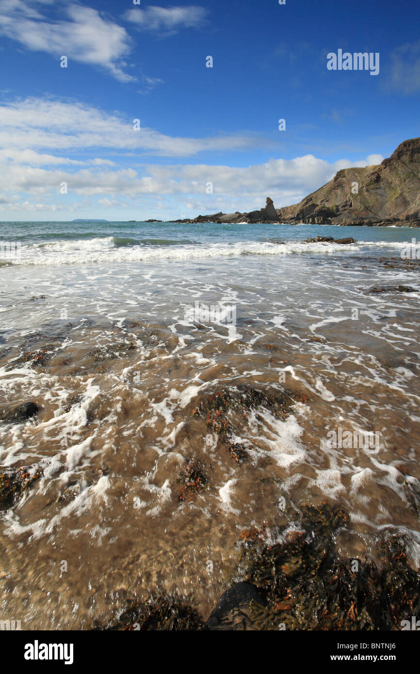 Beach at Hartland Quay, North Devon, England, UK Stock Photo - Alamy