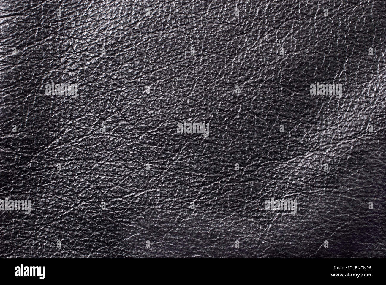 Leather fabric hi-res stock photography and images - Alamy