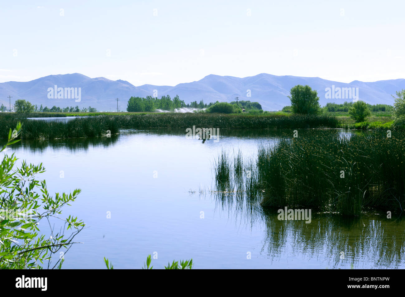 Silver valley idaho hi-res stock photography and images - Alamy