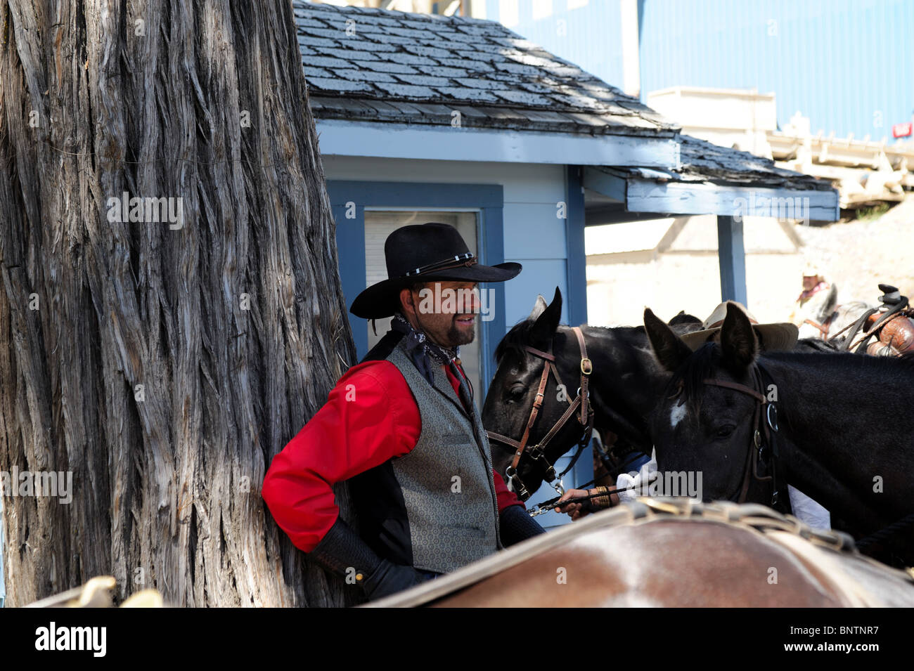 Cowboy Taking A break Stock Photo - Alamy