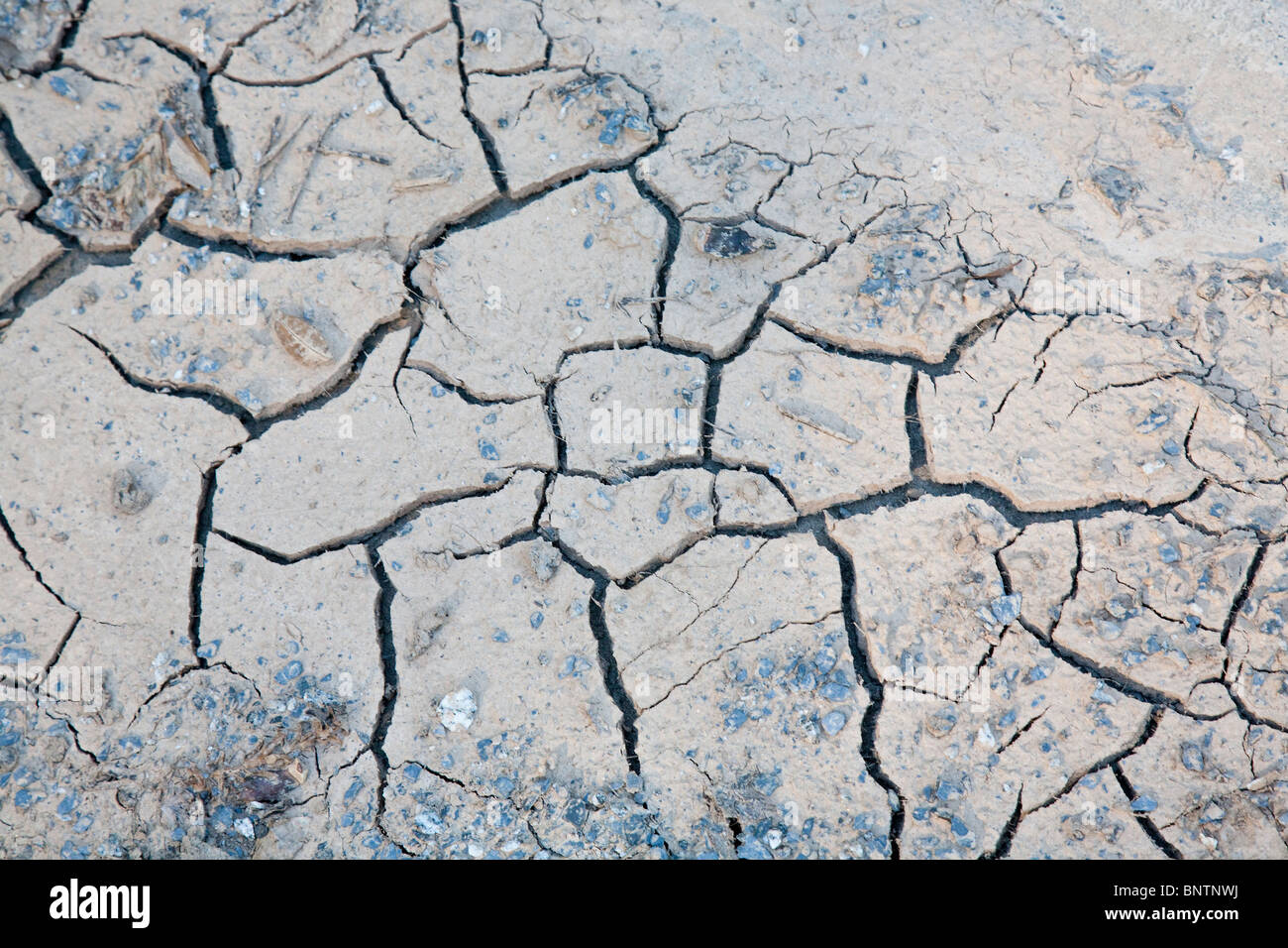 Dry cracked mud Stock Photo - Alamy