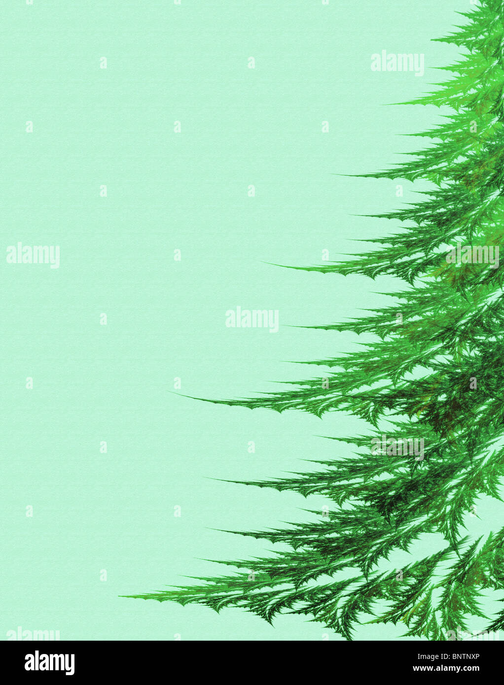 Fractal a fur-tree on a green background Stock Photo - Alamy
