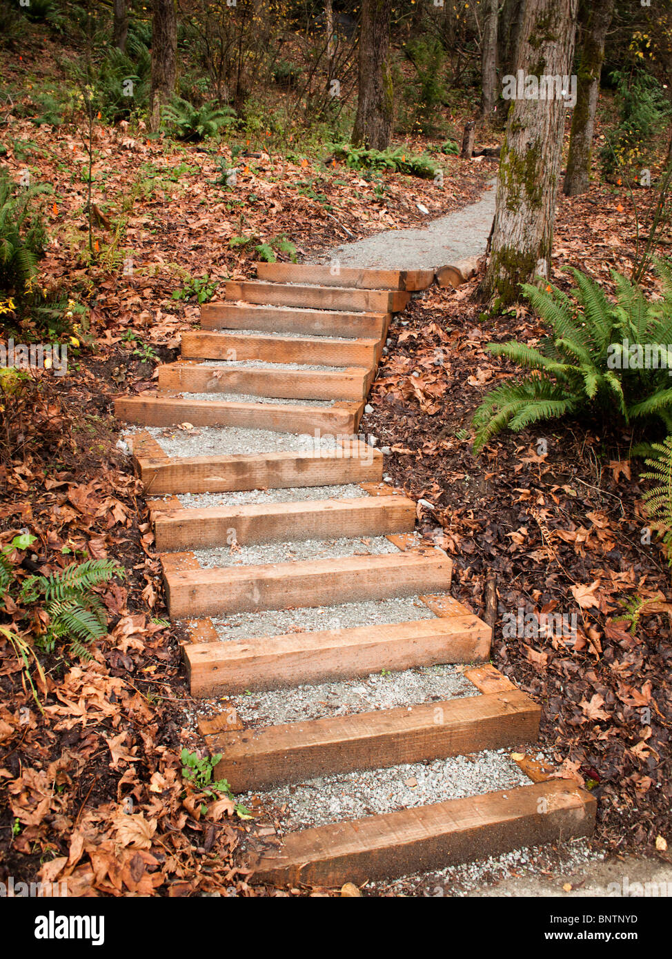 The new steps hi-res stock photography and images - Alamy