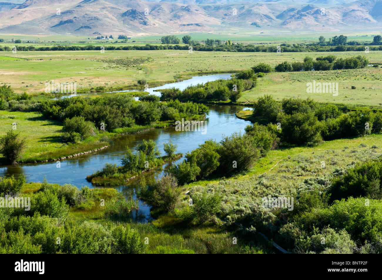 The Nature Conservancy's Silver Creek Preserve, located near Sun Valley ...