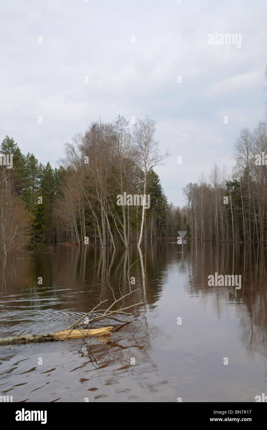 Tree floating flood hi-res stock photography and images - Alamy