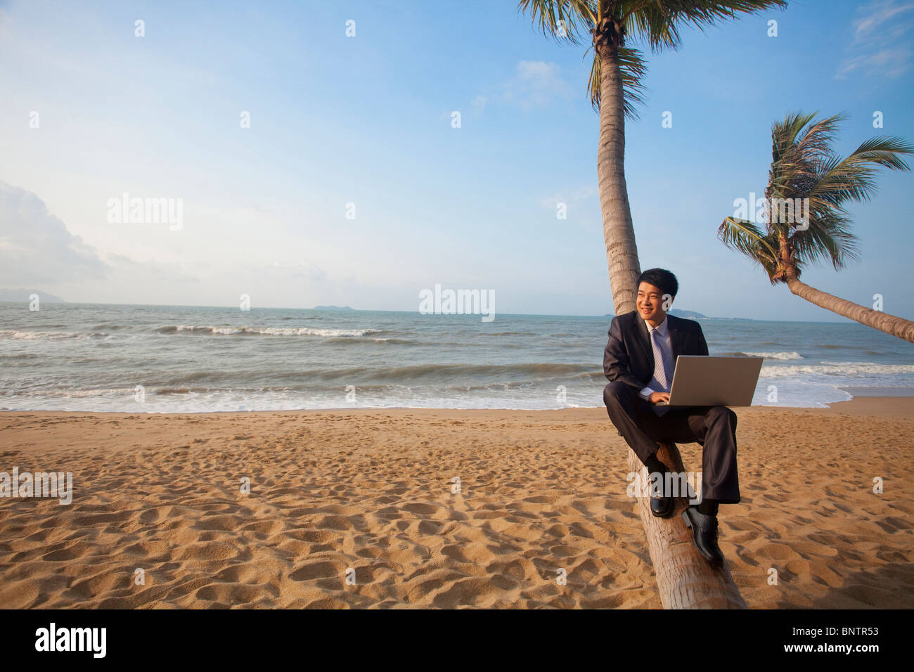 Businessman working at the beach Stock Photo - Alamy