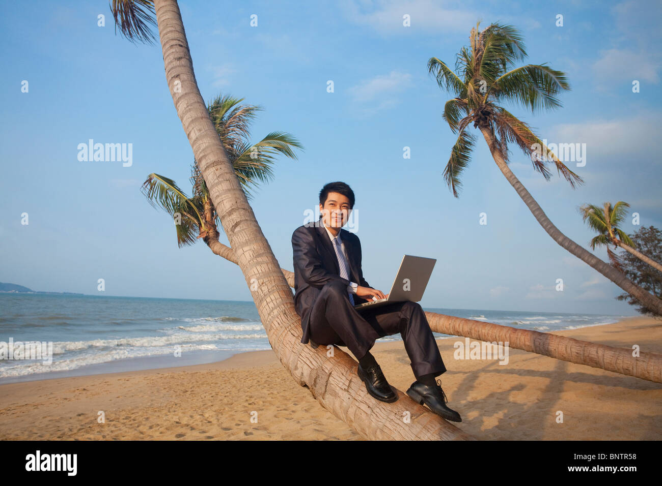 Black business man beach palm tree hi-res stock photography and images ...