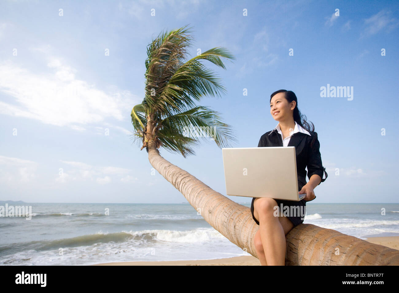 Businesswoman working on the beach Stock Photo - Alamy