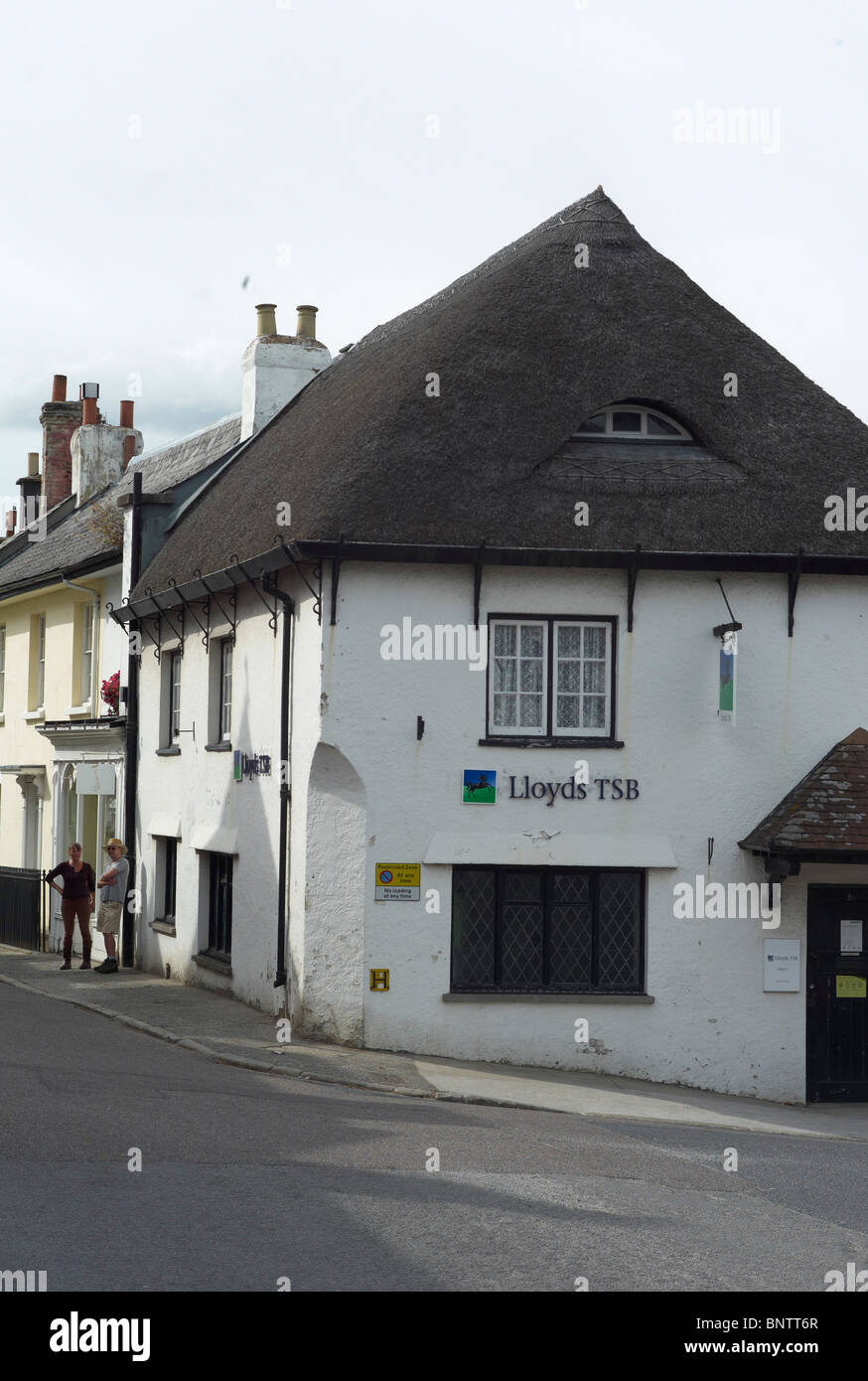 Devon bank hi-res stock photography and images - Alamy