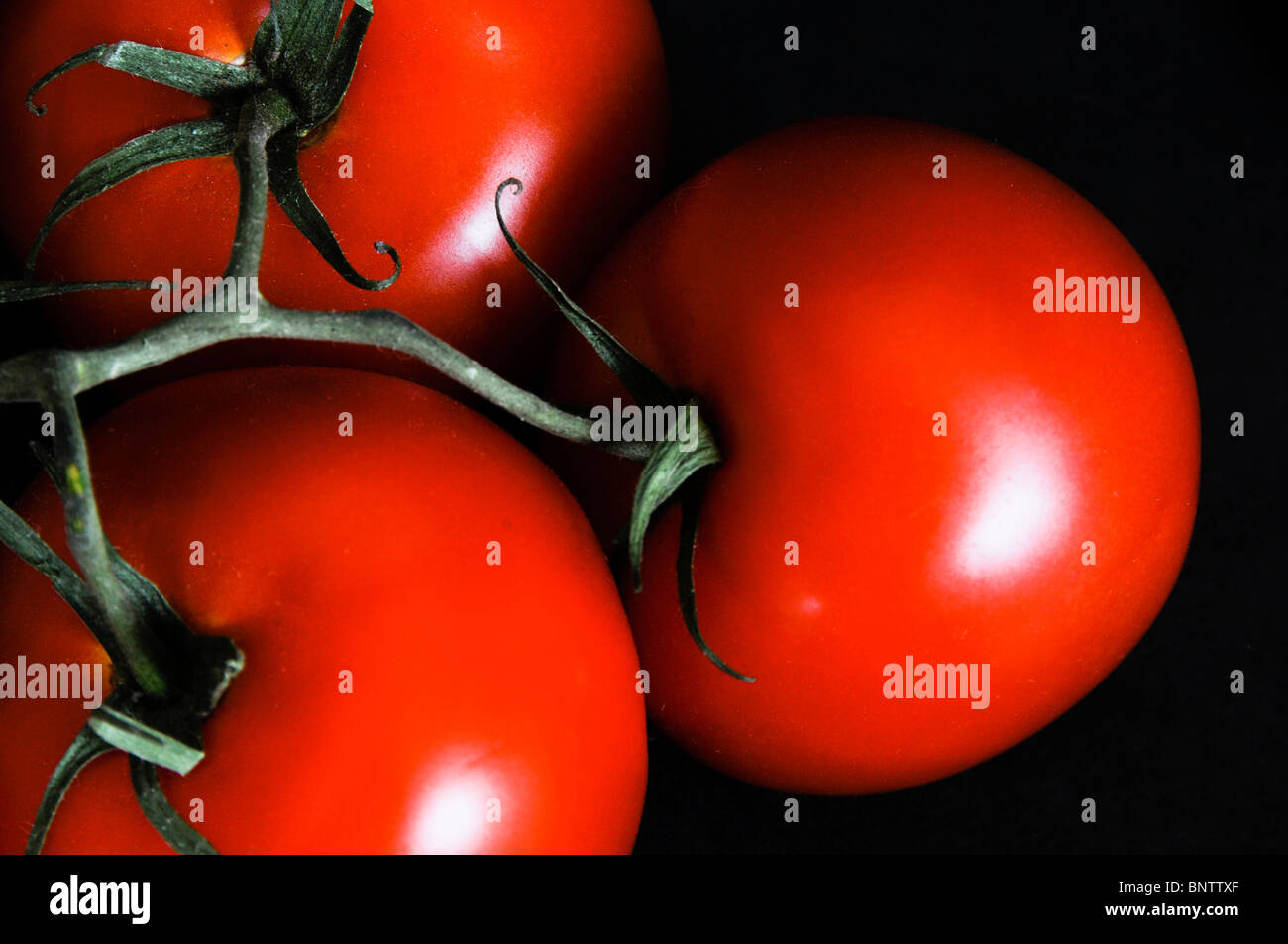 Full ripened tomato hi-res stock photography and images - Alamy