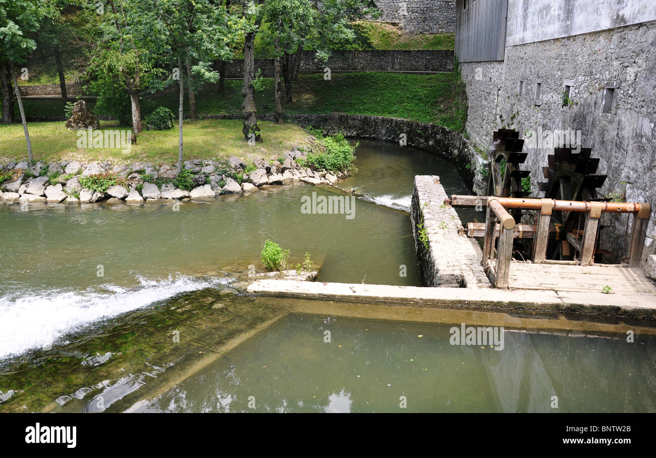 Surro hi-res stock photography and images - Alamy