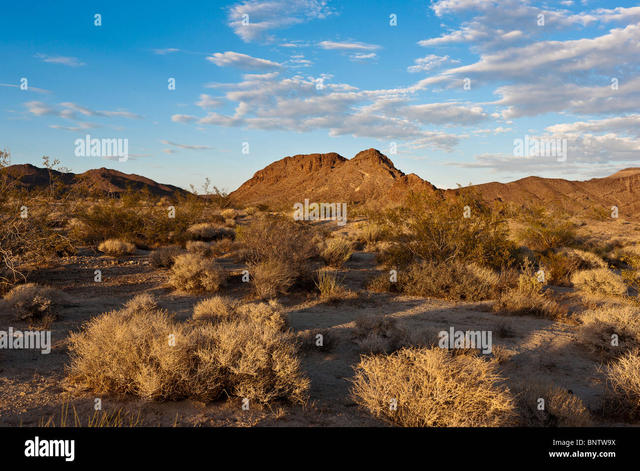 Mojave Desert, Southern California Stock Photo - Alamy