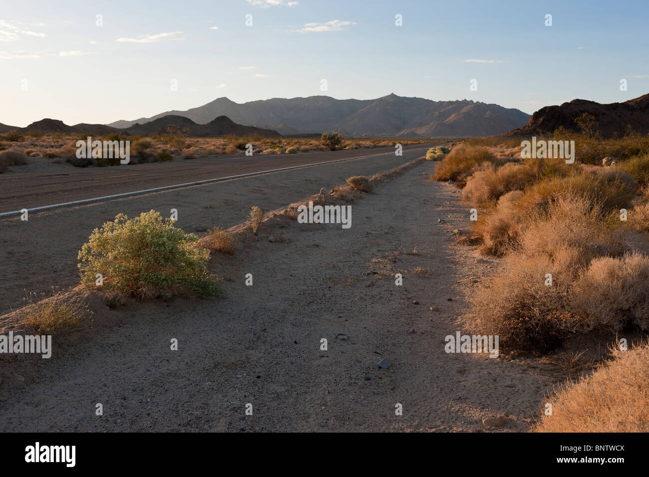 Mojave Desert, Southern California Stock Photo - Alamy