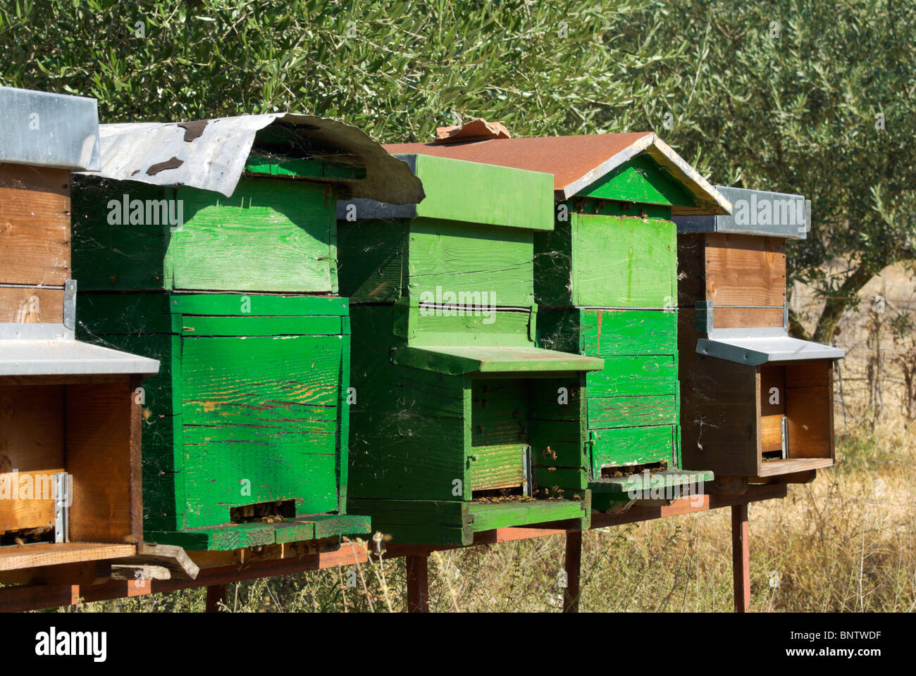 Five beehives hi-res stock photography and images - Alamy