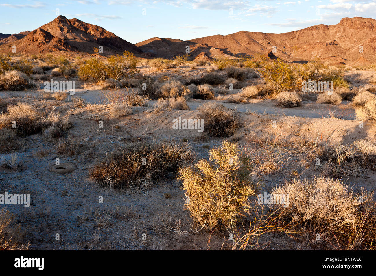 Mojave Desert, Southern California Stock Photo - Alamy