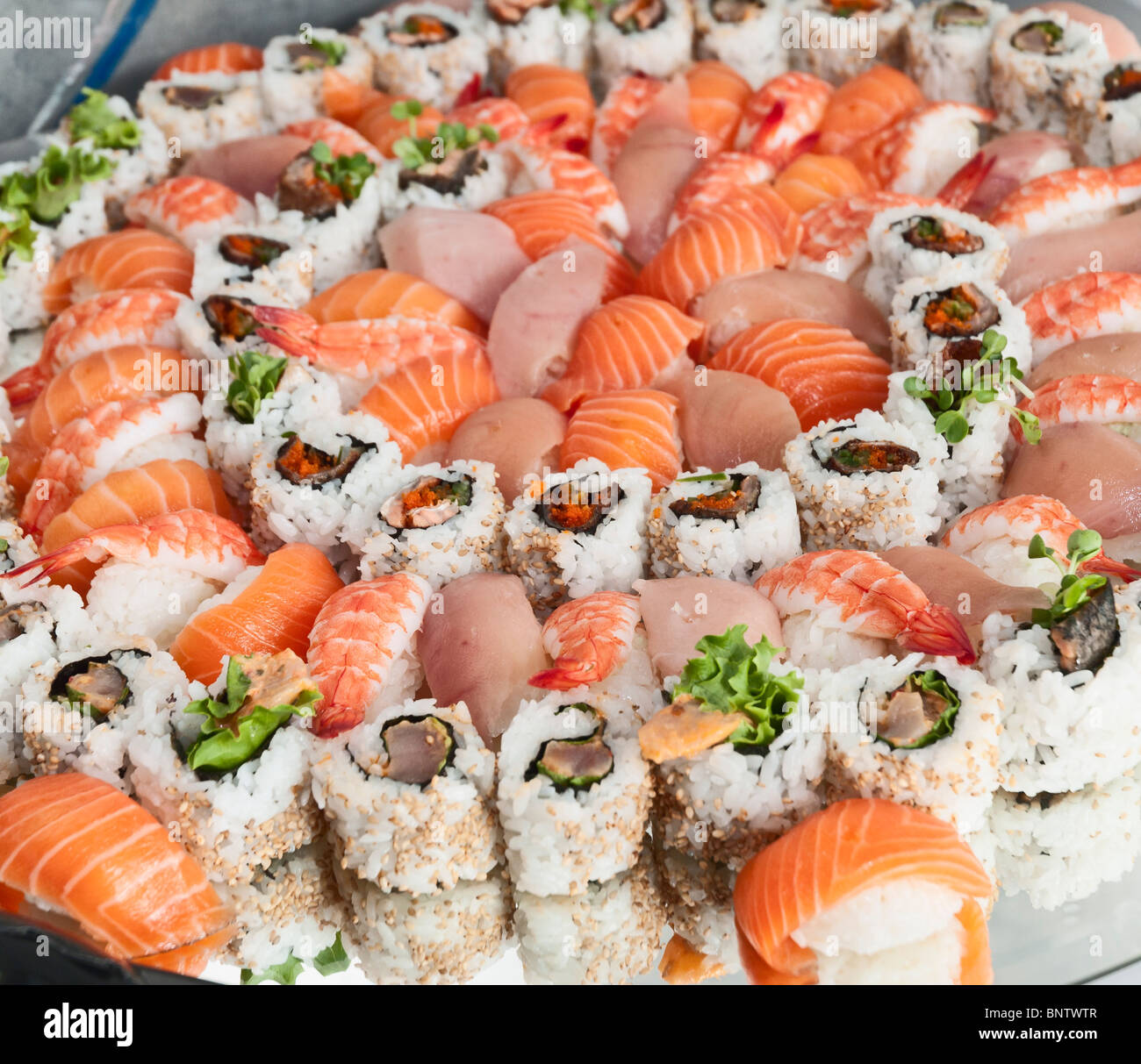 Salmon Sushi Platter