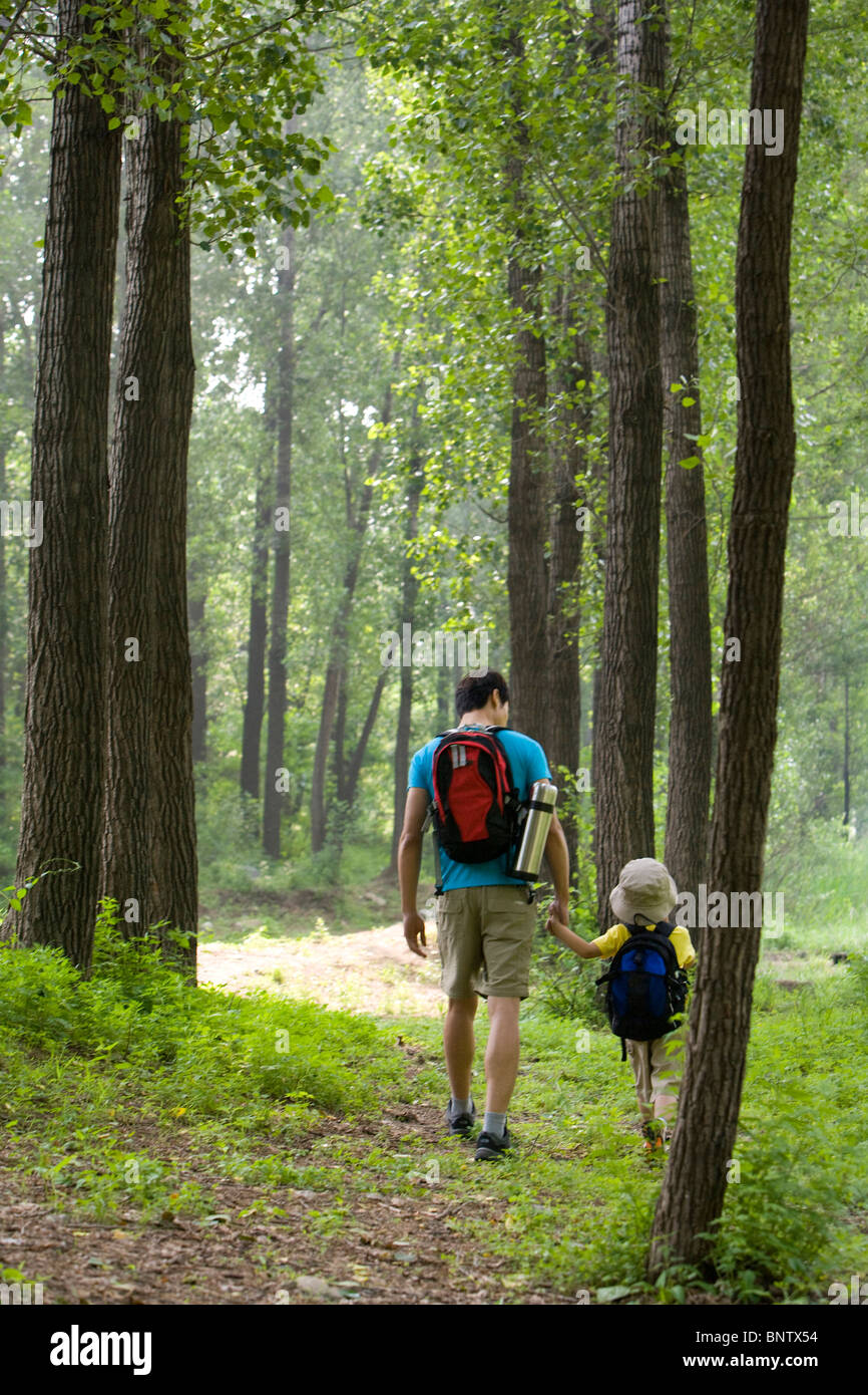 Father and son hiking through the forest Stock Photo - Alamy