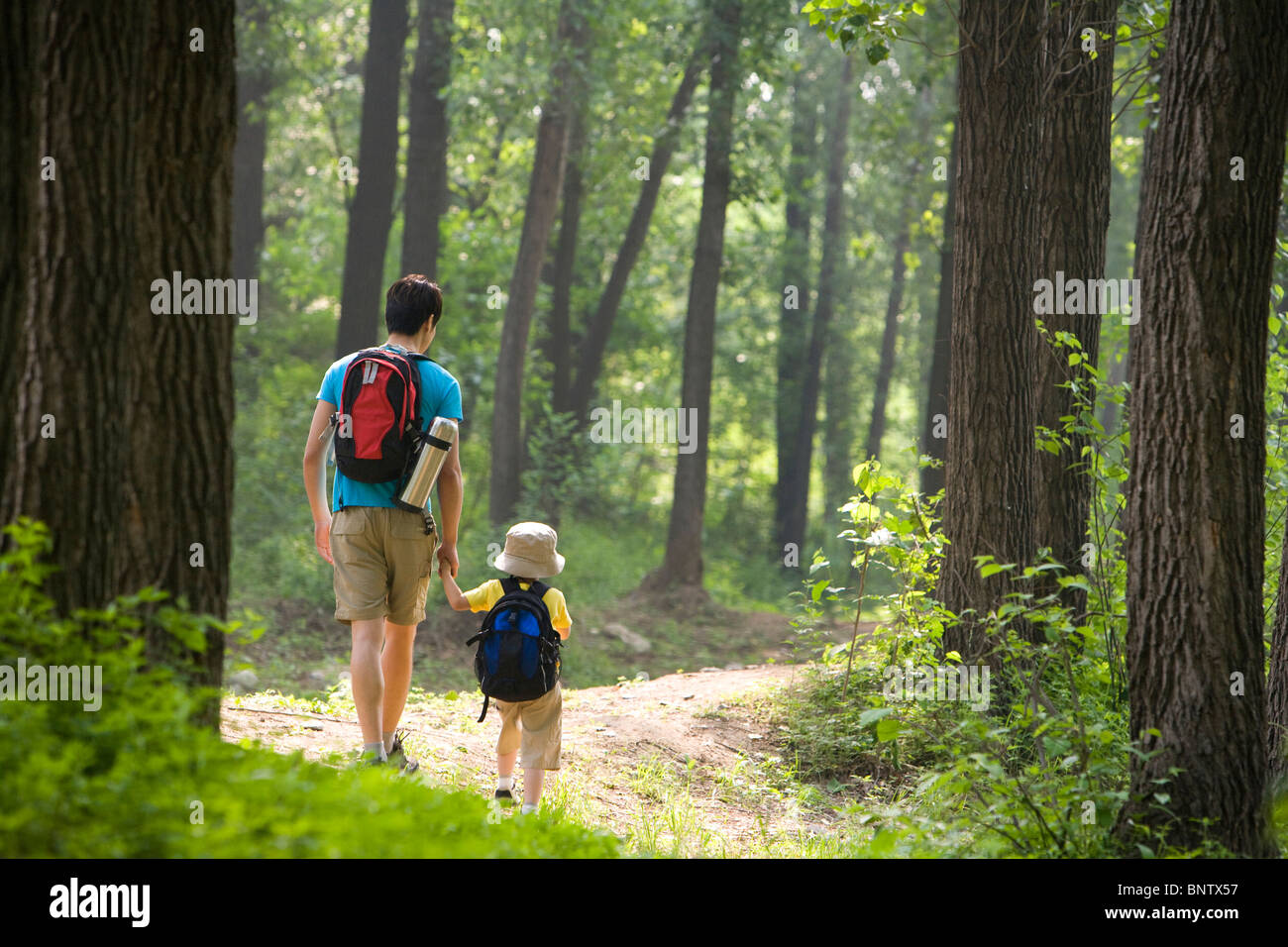 Father and son hiking through the forest Stock Photo - Alamy