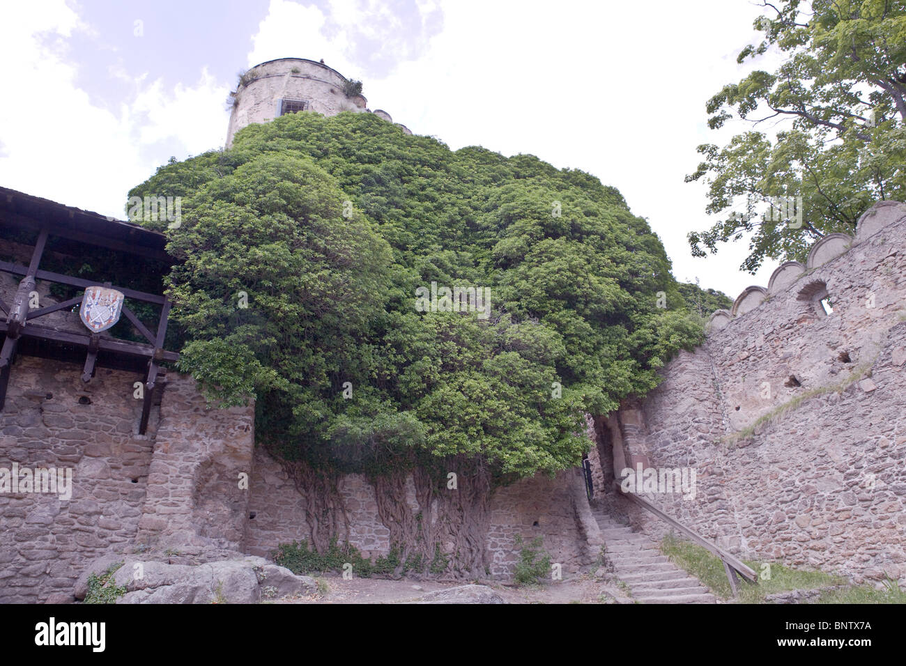 old castle dolny slask tradition Stock Photo - Alamy