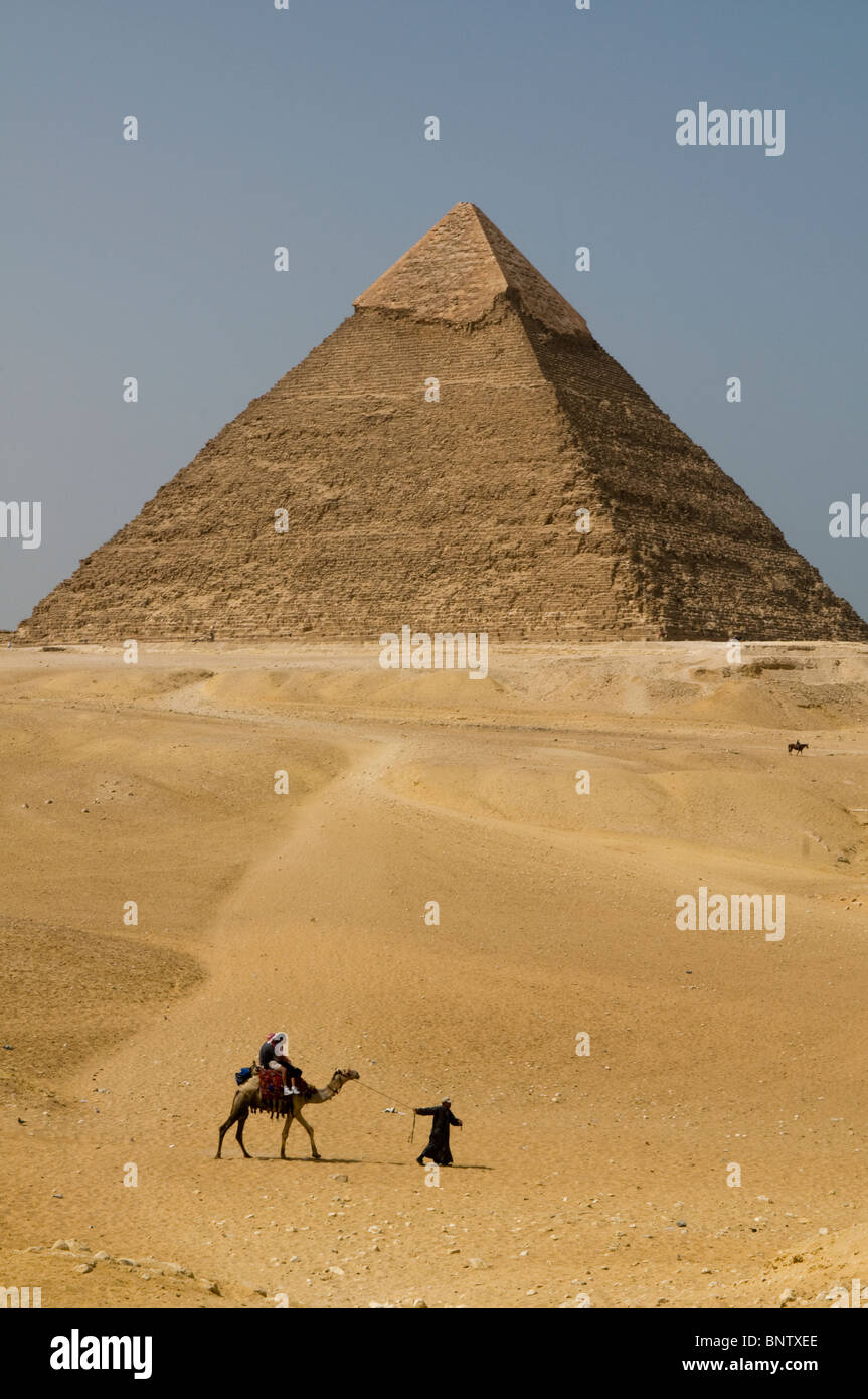 camel in the desert at the Great Pyramids of Giza in Cairo Egypt Stock ...
