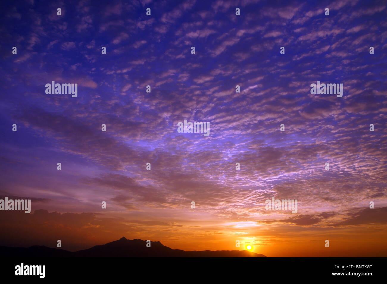 Kuching matang hi-res stock photography and images - Alamy