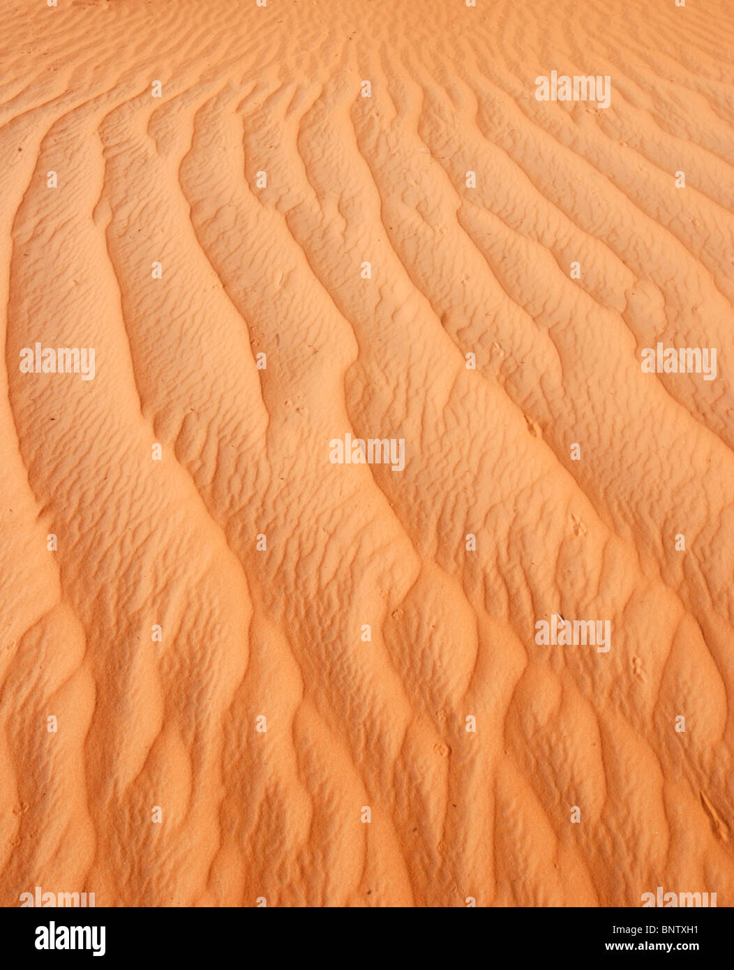 Patterns in the sand, Sahara Desert Stock Photo - Alamy