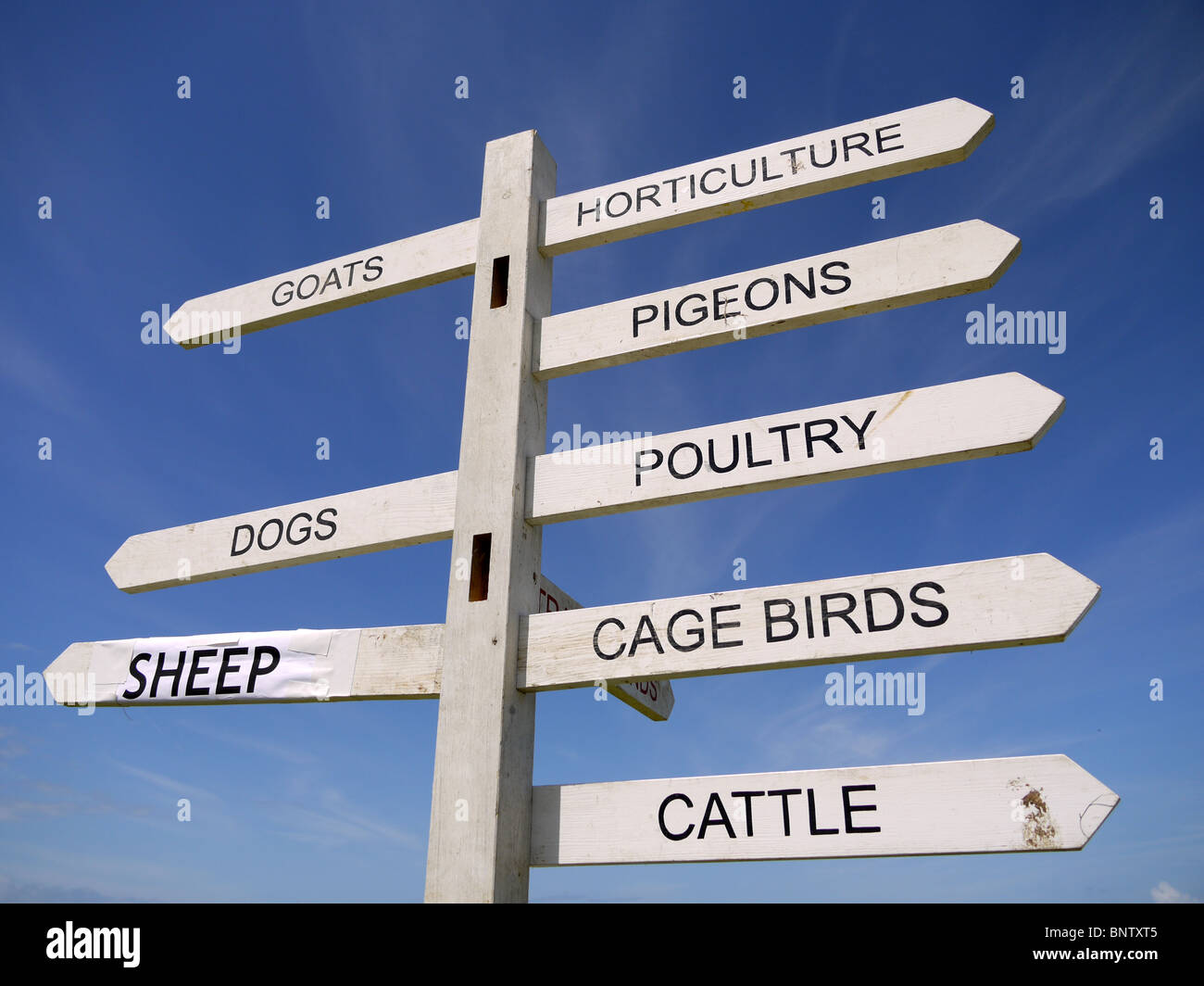Showground direction sign local show Cornwall UK Stock Photo - Alamy