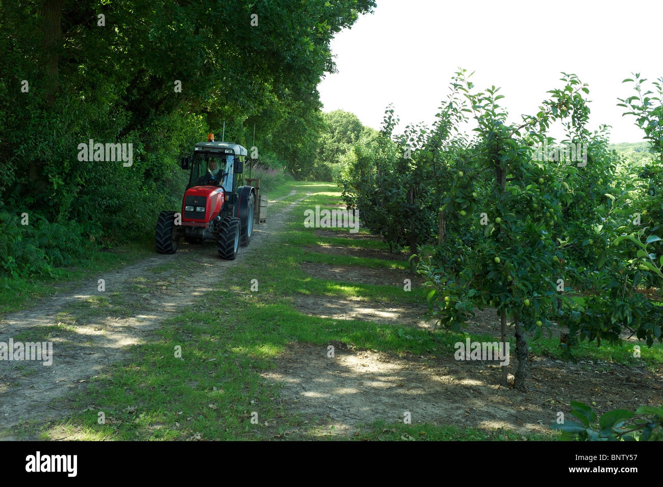 Orchard tractor hi-res stock photography and images - Alamy