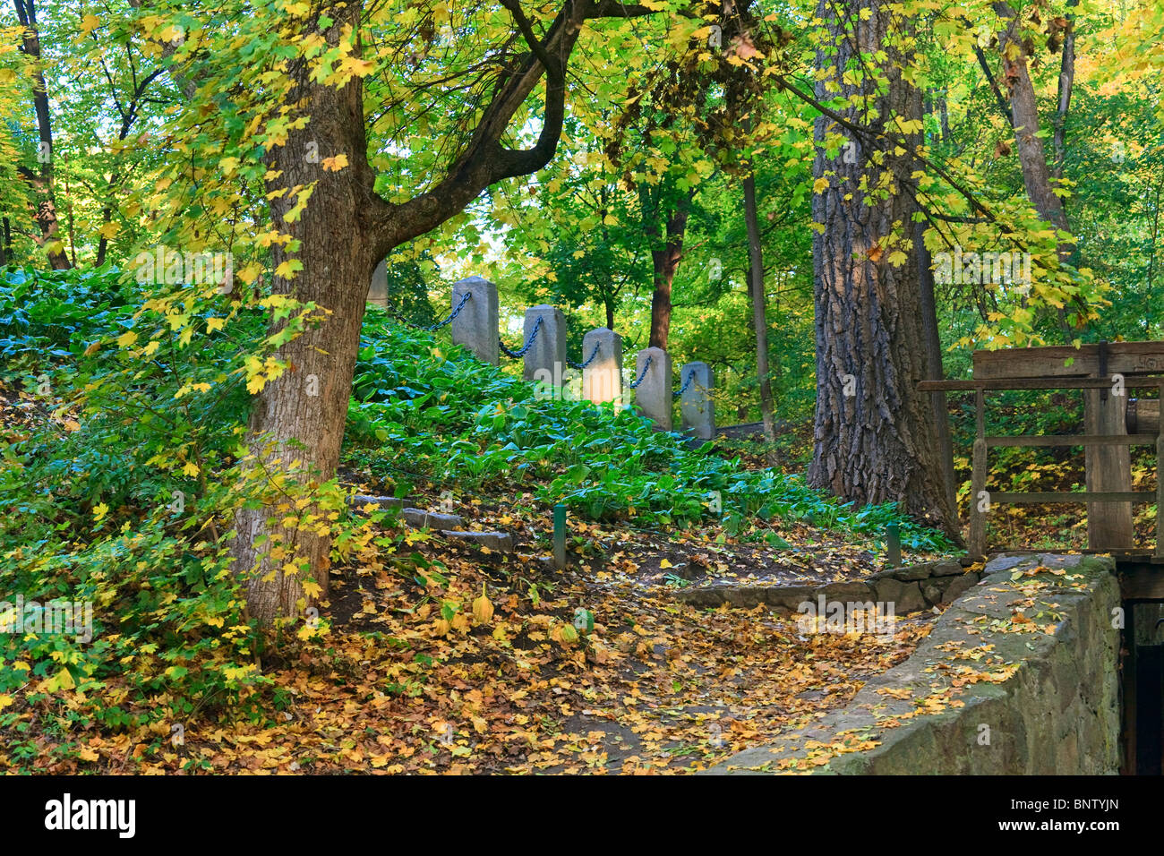 Colorful tree foliage in autumn city park Stock Photo - Alamy