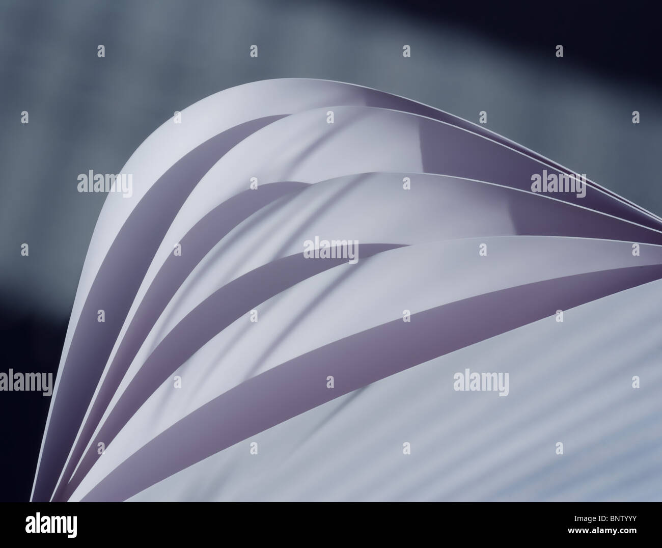 Curved shapes of sheets of card/paper Stock Photo - Alamy