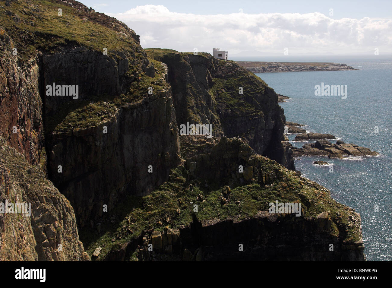 Ellin's Tower, South Stack Cliffs, RSPB reserve, Anglesey, North Wales ...