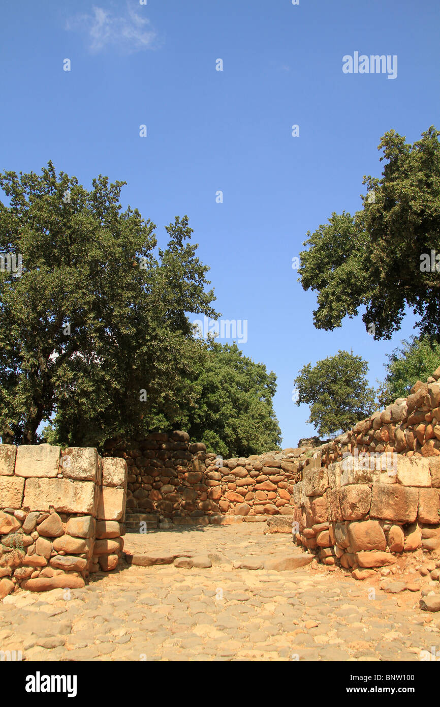 Israel, Upper Galilee, the Israelite Gate in Tel Dan Stock Photo - Alamy