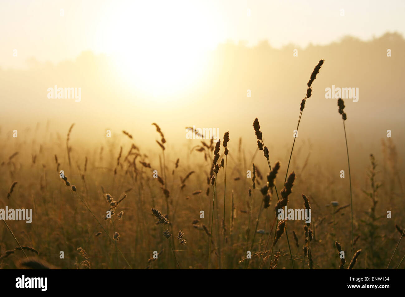 Misty sunrise hi-res stock photography and images - Alamy