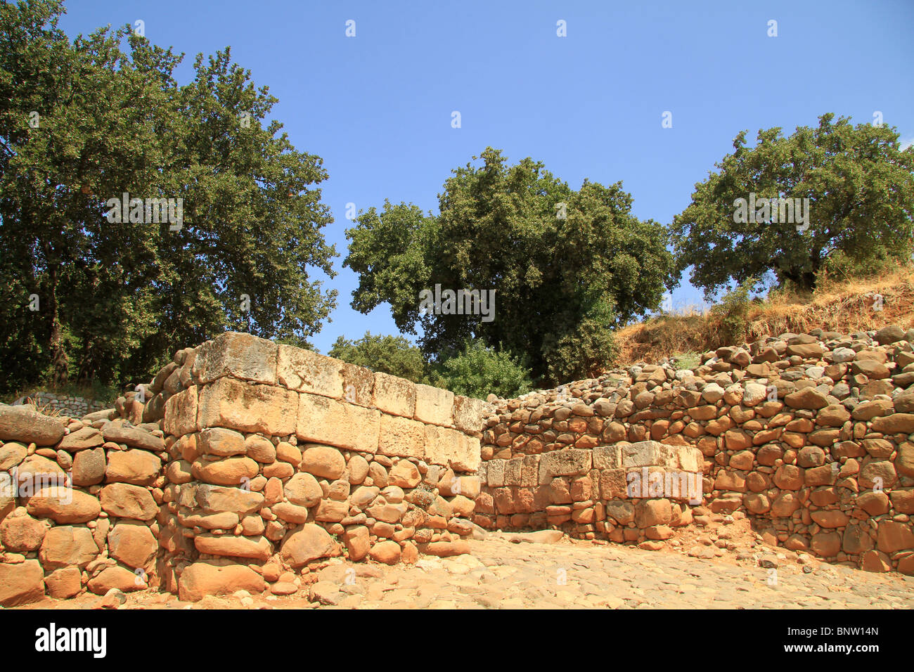 Israel, Upper Galilee, the Israelite Gate in Tel Dan Stock Photo - Alamy